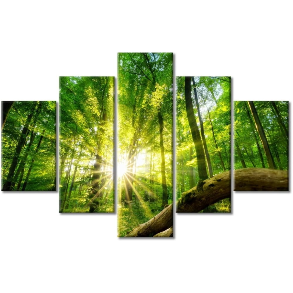 TISHIRON 5PCS Framed Forests Landscape Theme Canvas Wall Art Set,60"x40 ...