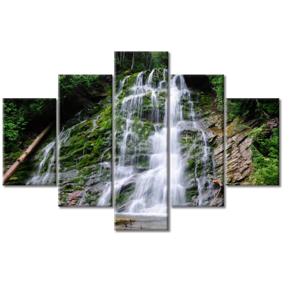 TISHIRON 5PCS Framed Natural Scenery Theme Canvas Wall Art Set,50"x24 ...
