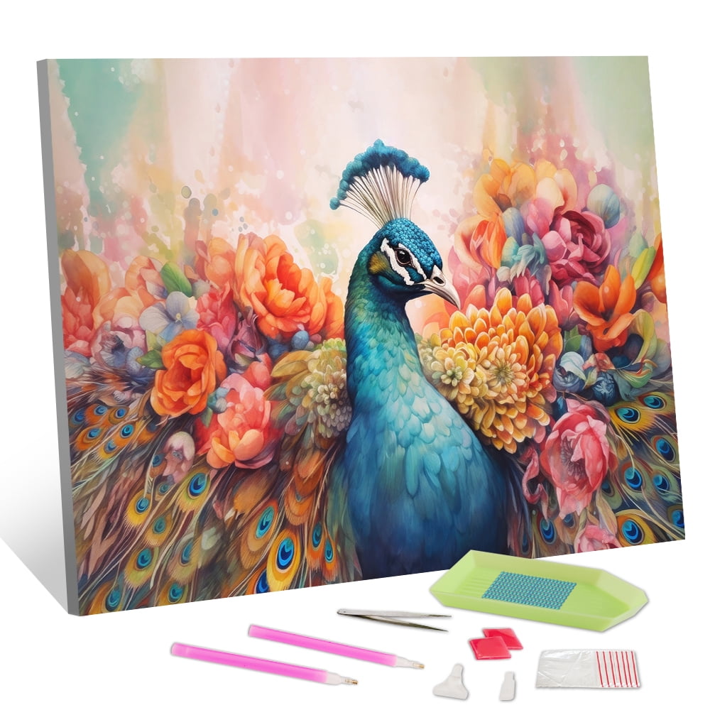 TISHIRON Peacock Diamond Painting Art Kit - Walmart.com