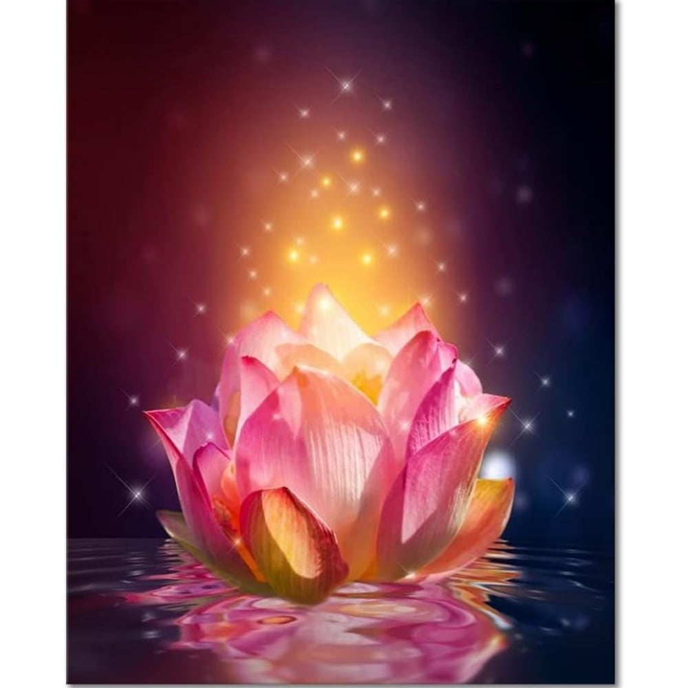 TISHIRON Paint by Numbers for Adults,16x20 inch Canvas Wall Art Lotus and Lake Oil Painting by ...