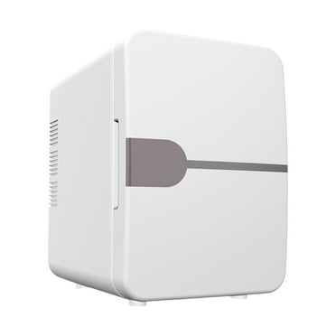 Mini Fridge with LED Mirror Cooler and Warmer AC/DC Powered Skincare ...