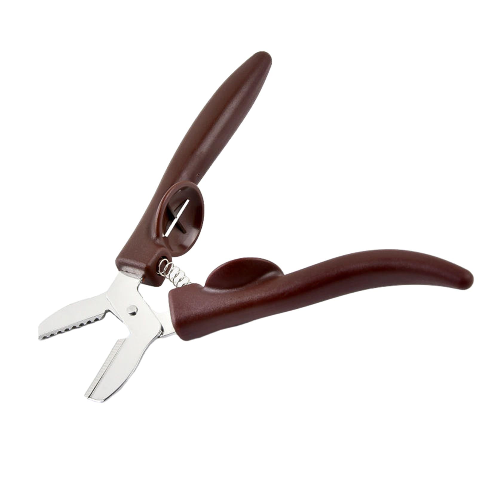 TISHITA Dried Fruit Opener, Nut , Chestnut Clamp, Kitchen Utensils ...