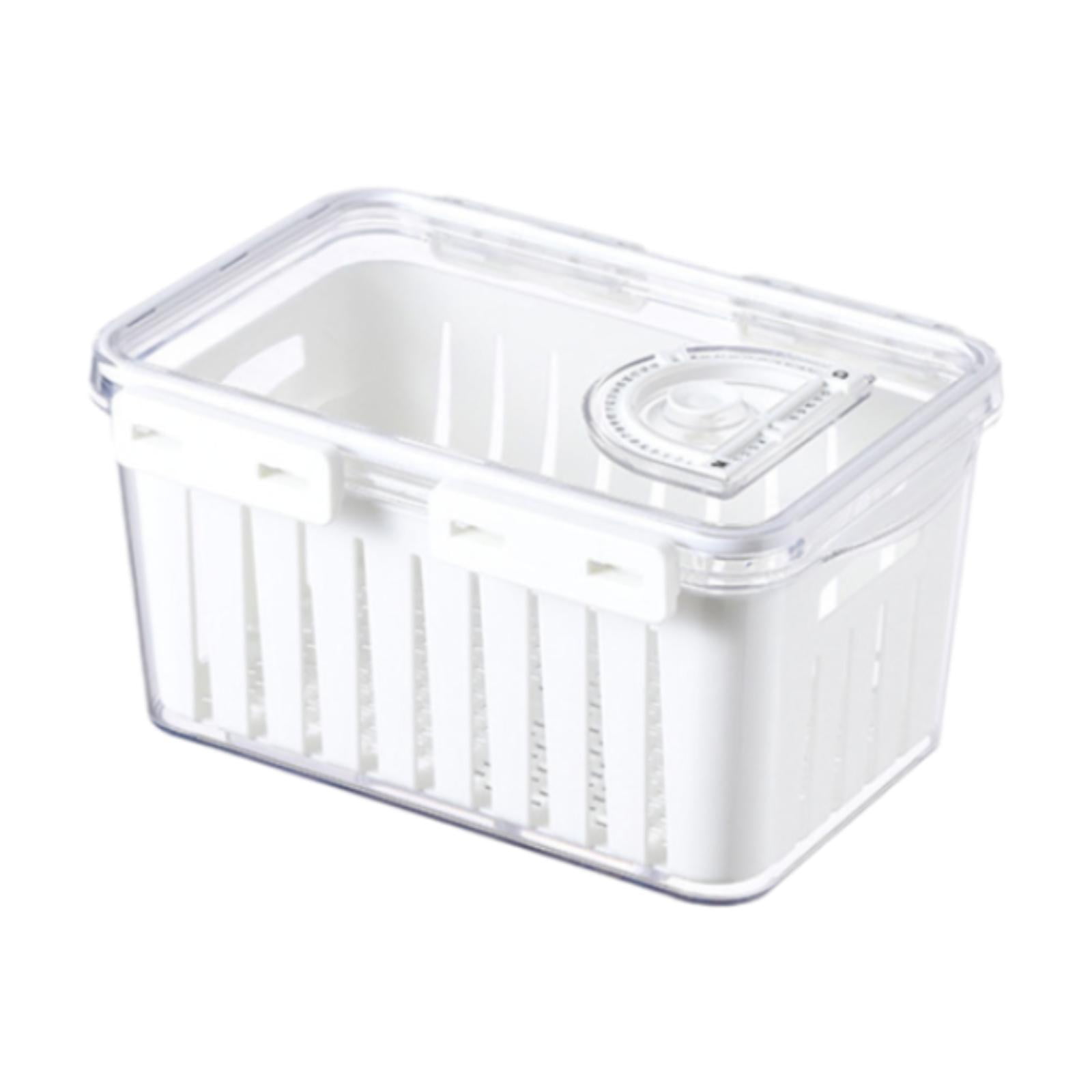 TISHITA Fruit Storage Container for Fridge Vegetable Fresh Keeper for ...