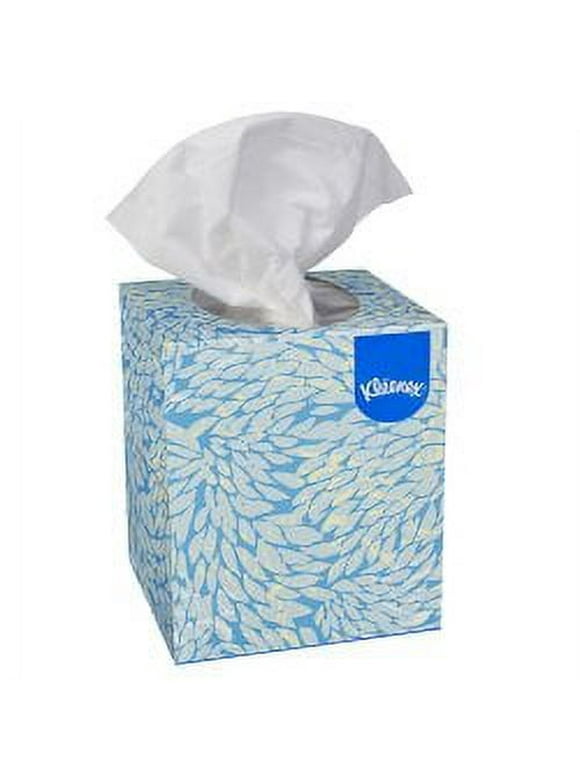 Facial Tissue in Paper & Plastic - Walmart.com