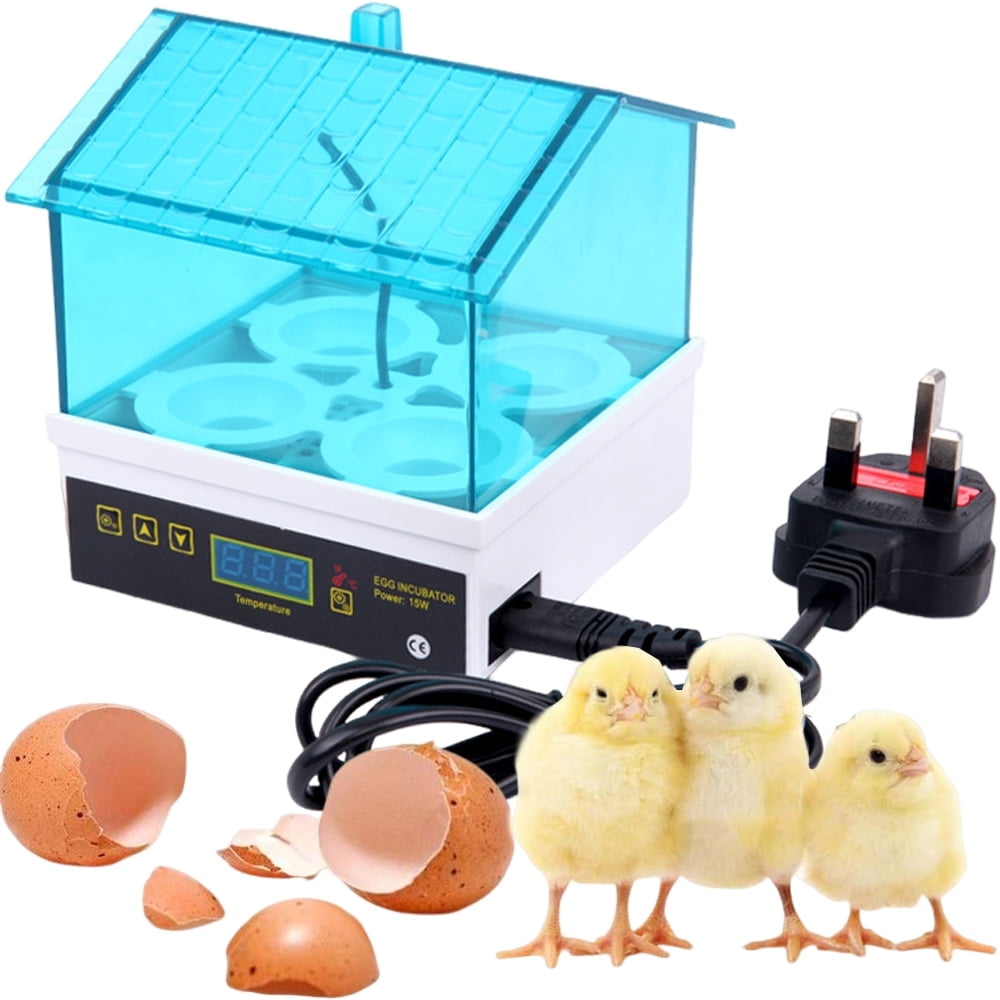 TITOUMI Eggs Incubator for Hatching Chicken Poultry Hatcher, 4 Eggs ...
