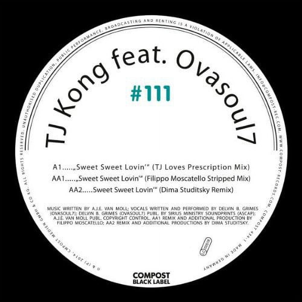 TJ Kong - Compost Black Label 111 - Electronica - Vinyl - Walmart.com