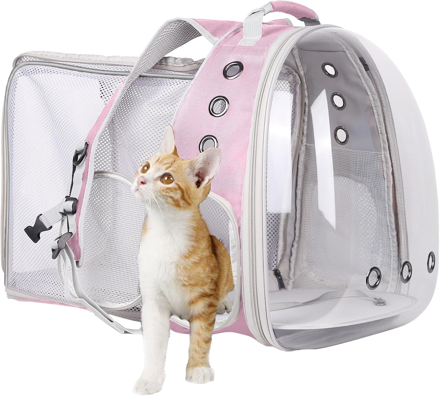 TJOUL Back Expandable Cat Backpack Carrier, Fit up to 12 lbs, Space ...