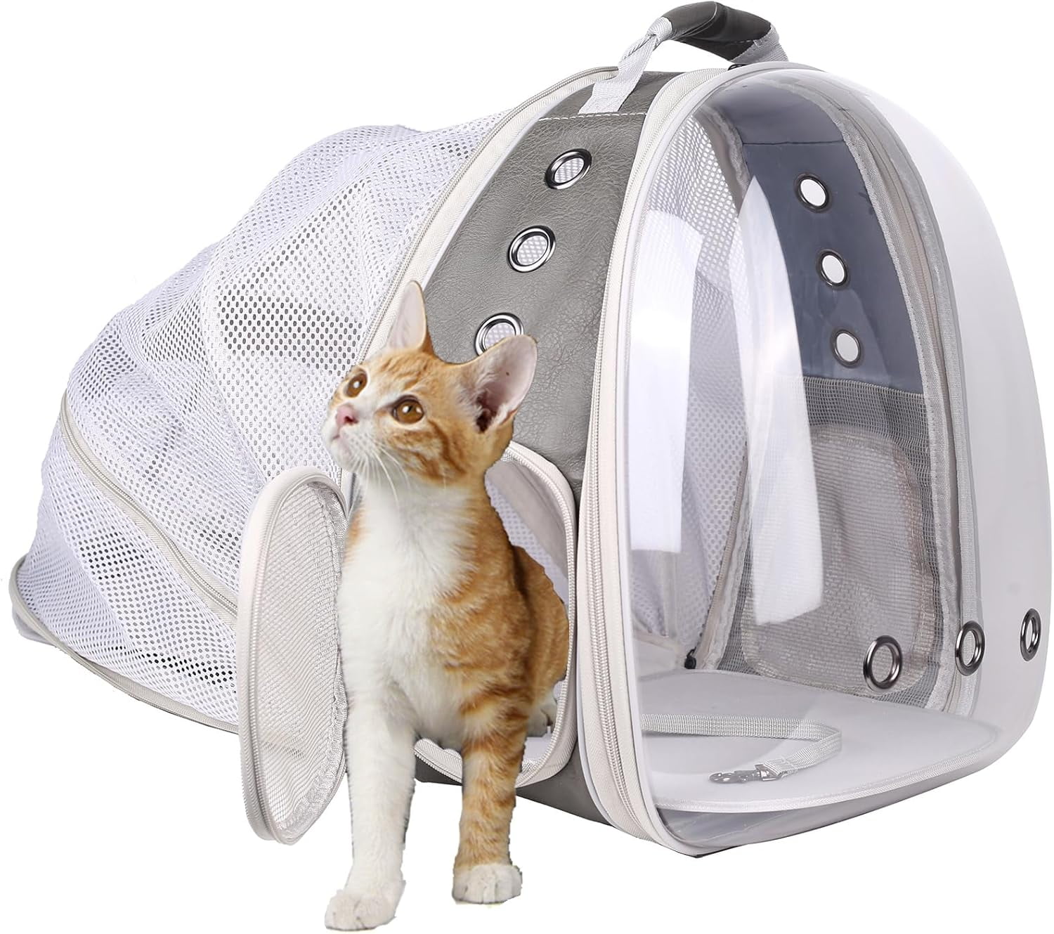 TJOUL Back Expandable Cat Backpack Carrier, Fit up to 12 lbs, Space ...