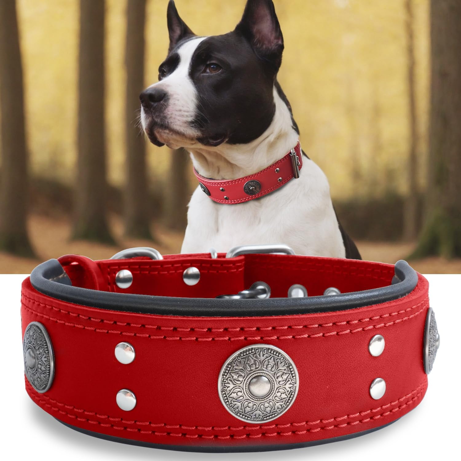 TJOUL Leather Dog Collar, 2 inches Wide Heavy Duty Genuine Leather ...