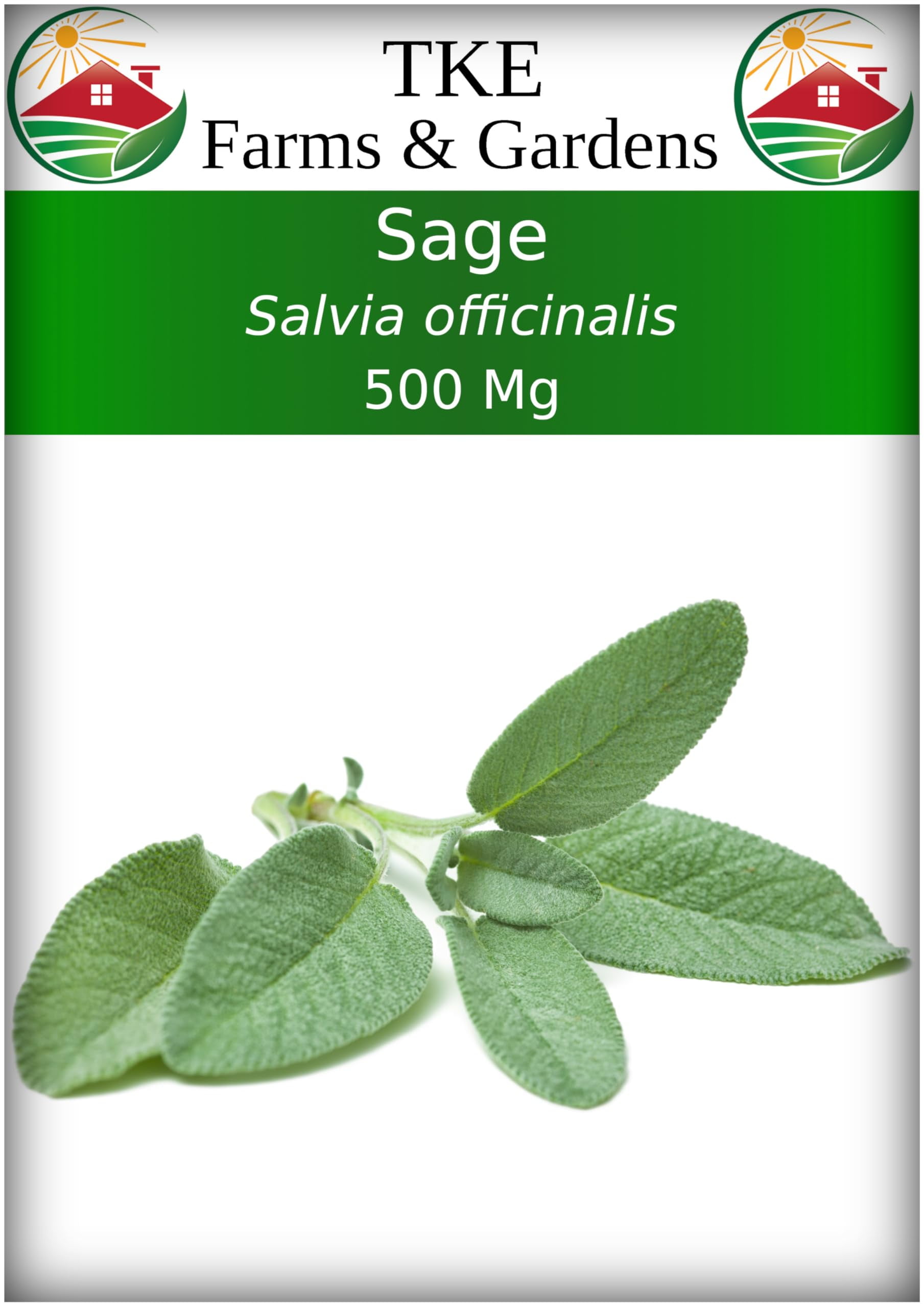 TKE Farms & Gardens - Sage BSL1 Seeds for Planting - 120+ Non-GMO Sage ...