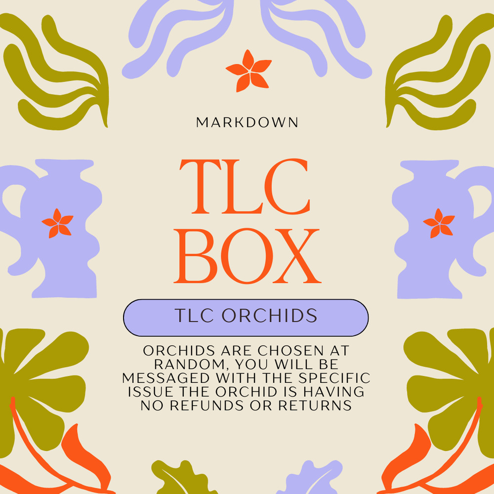 TLC ORCHID BOX (2 Orchids) - Walmart.com