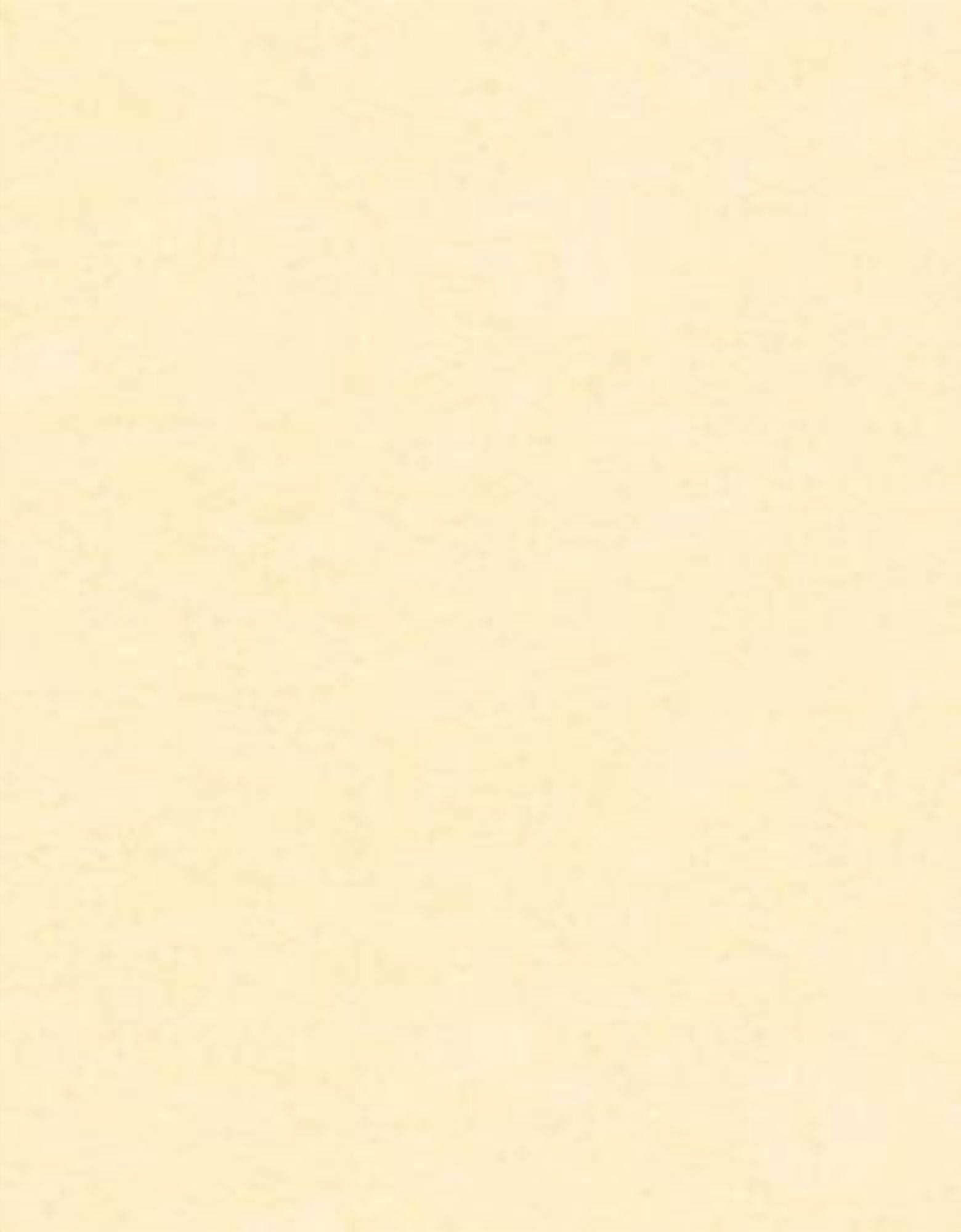 (TM) Full Sheet Sticker Label, Permanent Adhesive Paper, 8.5X11 Inch ...