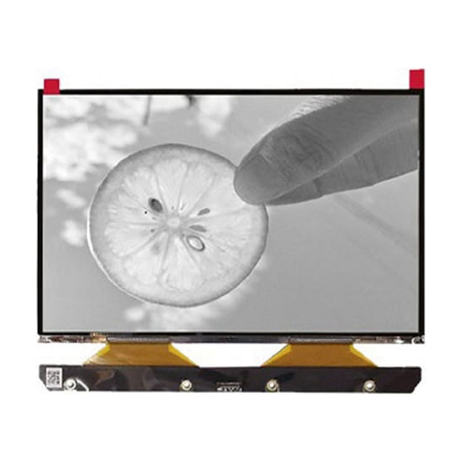 TM089CFSP01 Monochrome LCD 8.9 Inch 4K Mono LCD Screen with 3840X2400 ...