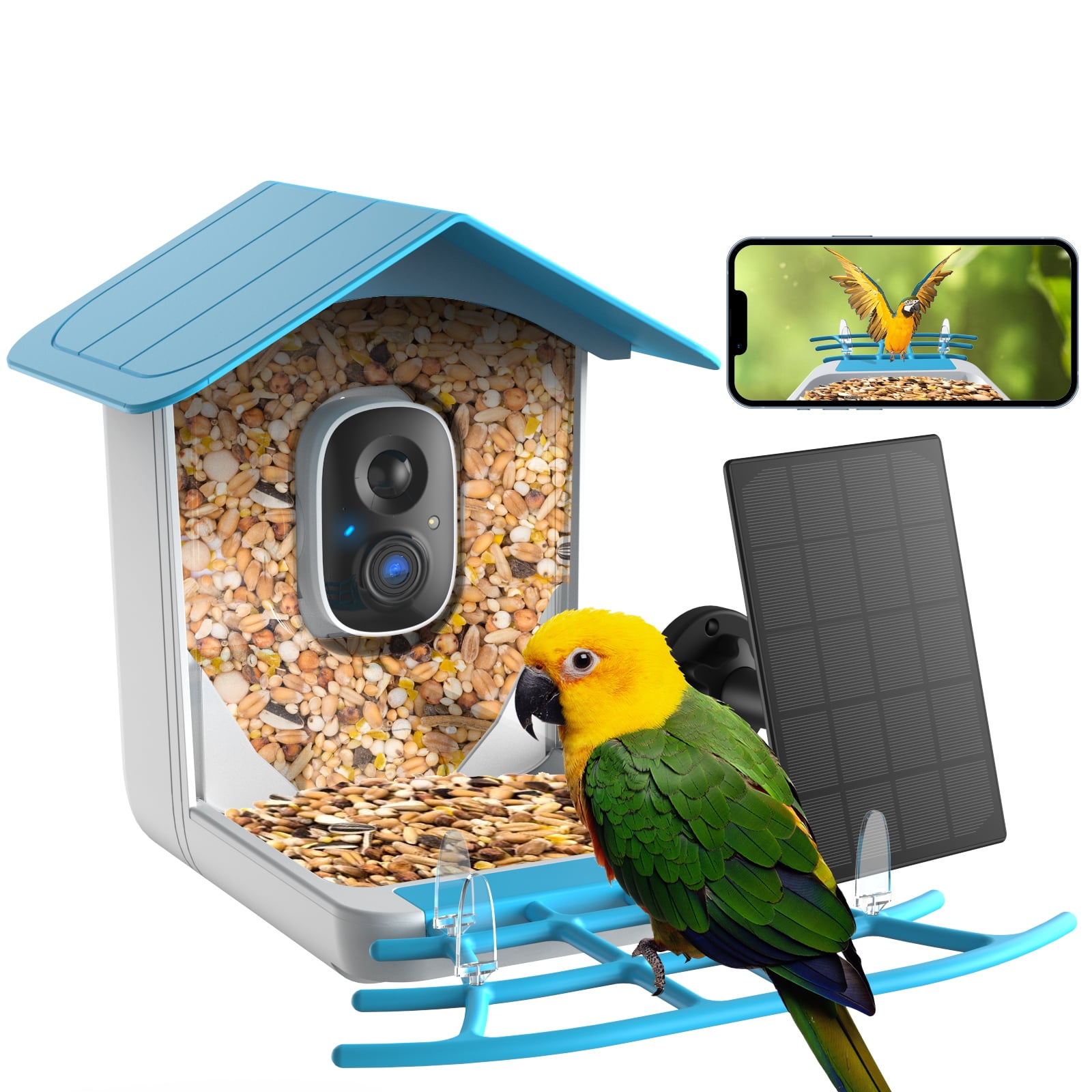 TMEZON Smart Bird Feeder with Built-in WiFi, Automatic Bird Watching ...