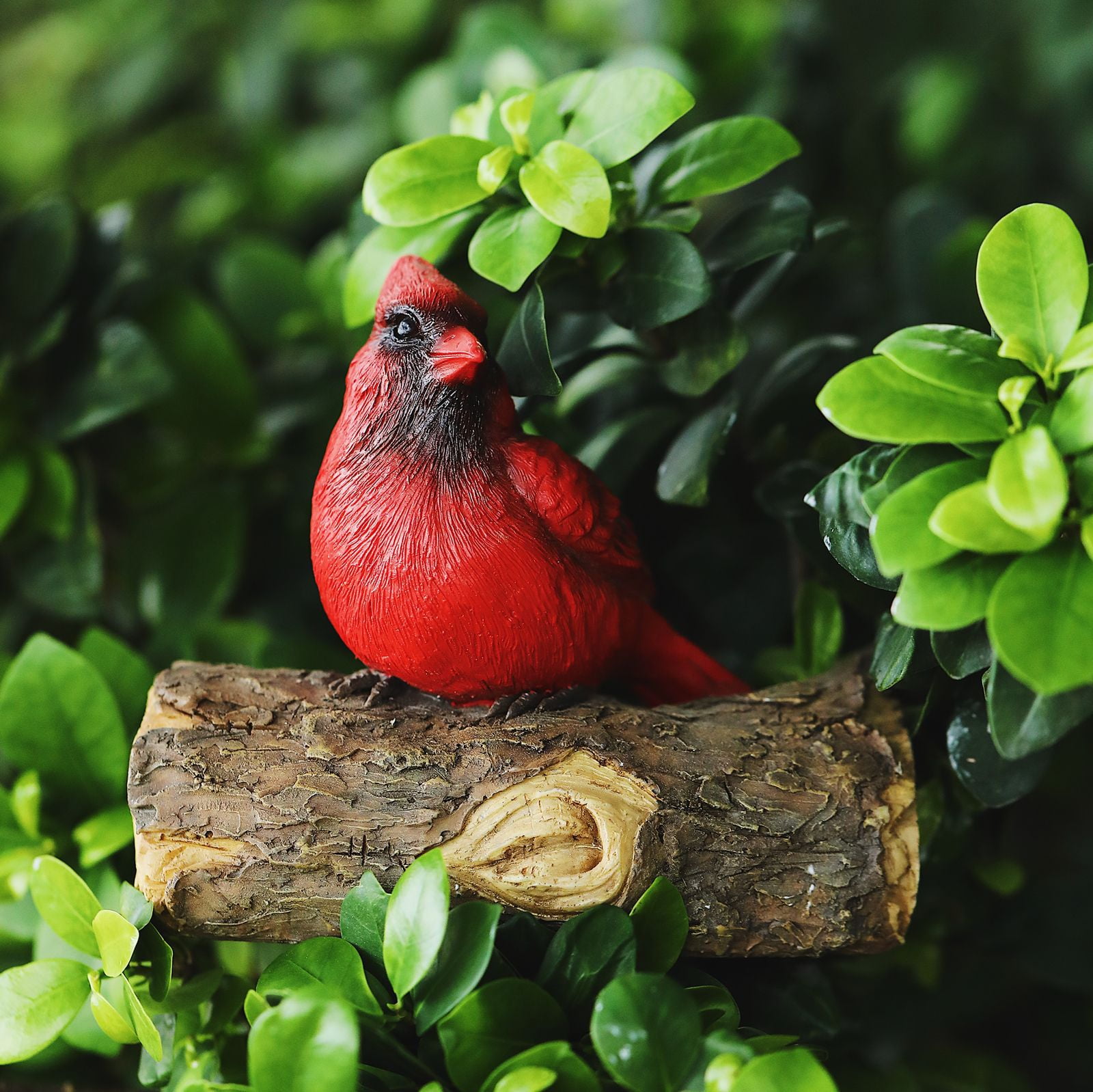 TNSAWRRYOE Cardinal Figurine Red Christmas Cardinals Sitting on a Tree ...