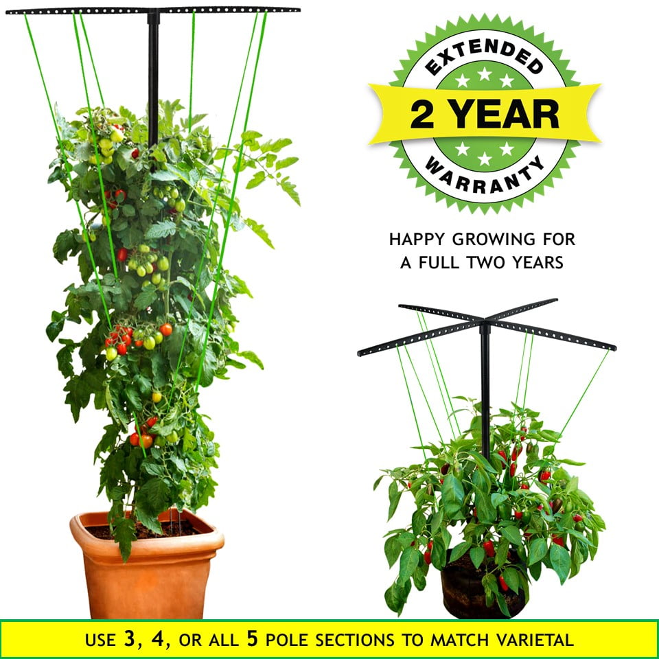 TOMATO Trellis Vertical Garden Kit. 6 ft Tall, 22” Round, 30 Clips ...