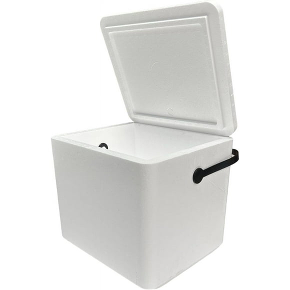Foam Cooler Box