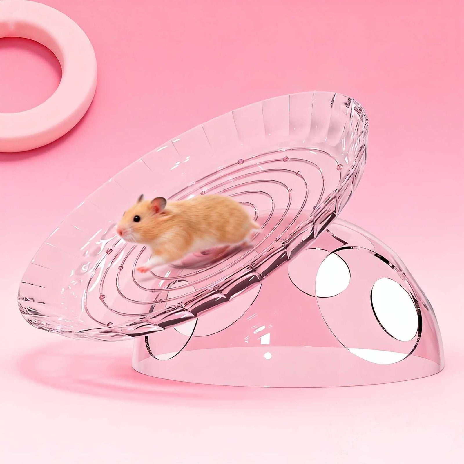 TOOLGOOD Hamster Wheel Rotating Disc Round Hamster Activity Toy Quiet ...