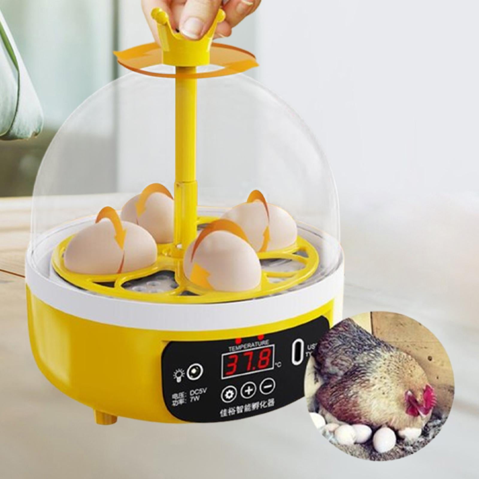 TOOYFUL Digital Egg Incubator Egg Hatcher Egg Turner Small Poultry ...