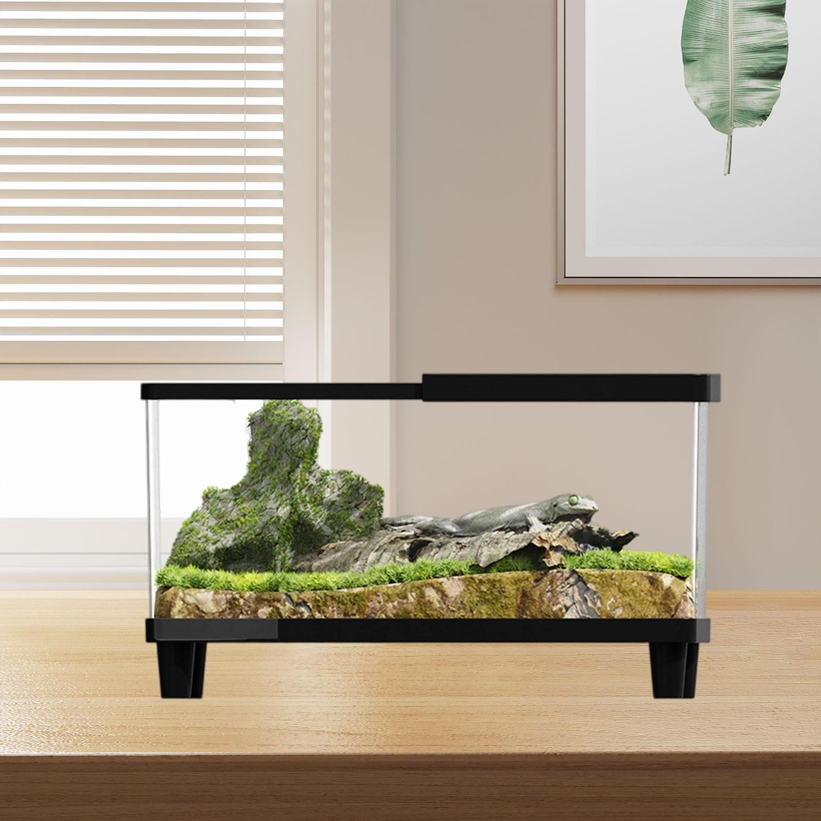 TOOYFUL Mini Reptile Terrarium Habitat Container Top Ventilation Clear ...