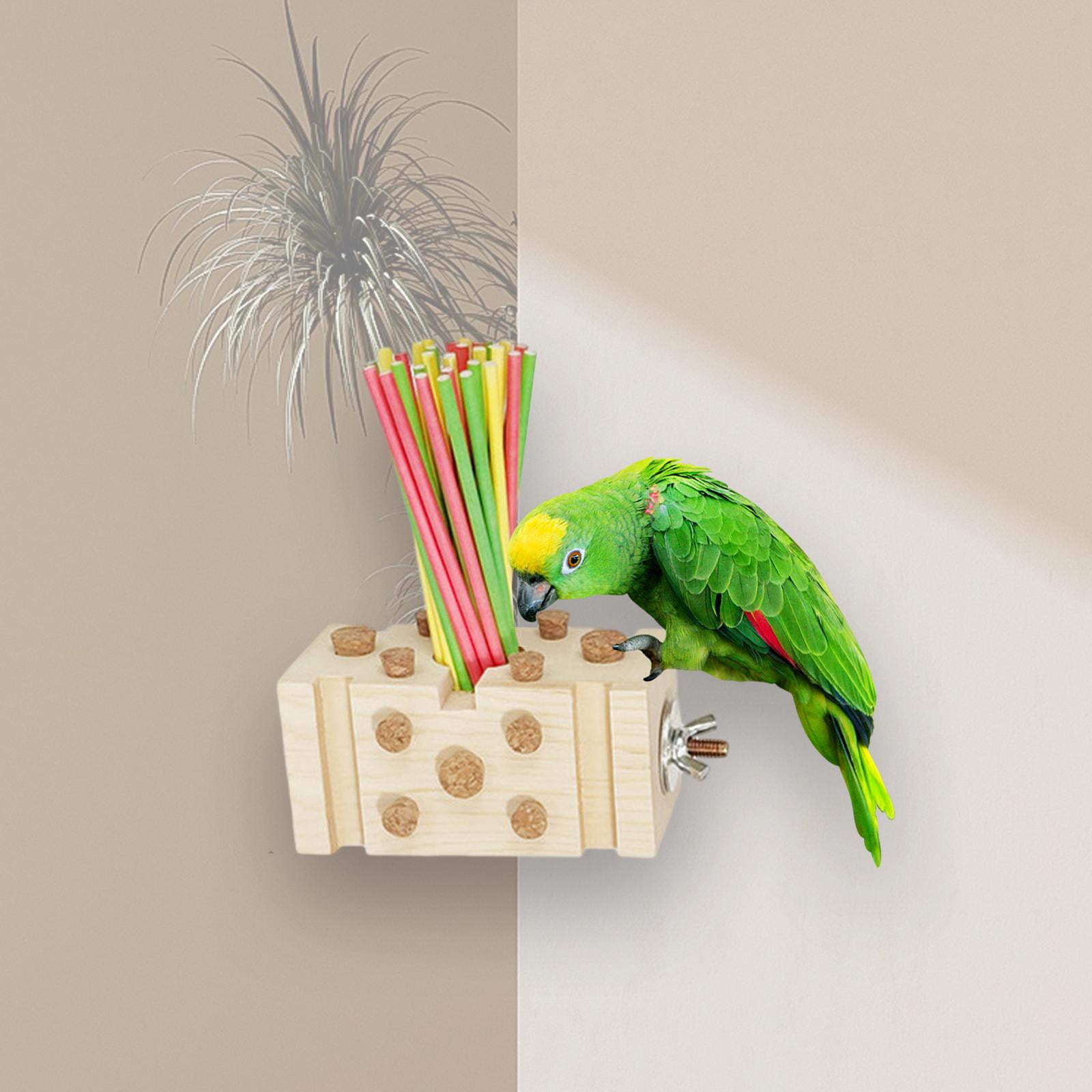TOOYFUL Parrot Chewing Stopper Toy Exercise The Beak Parrot Cage Bite ...