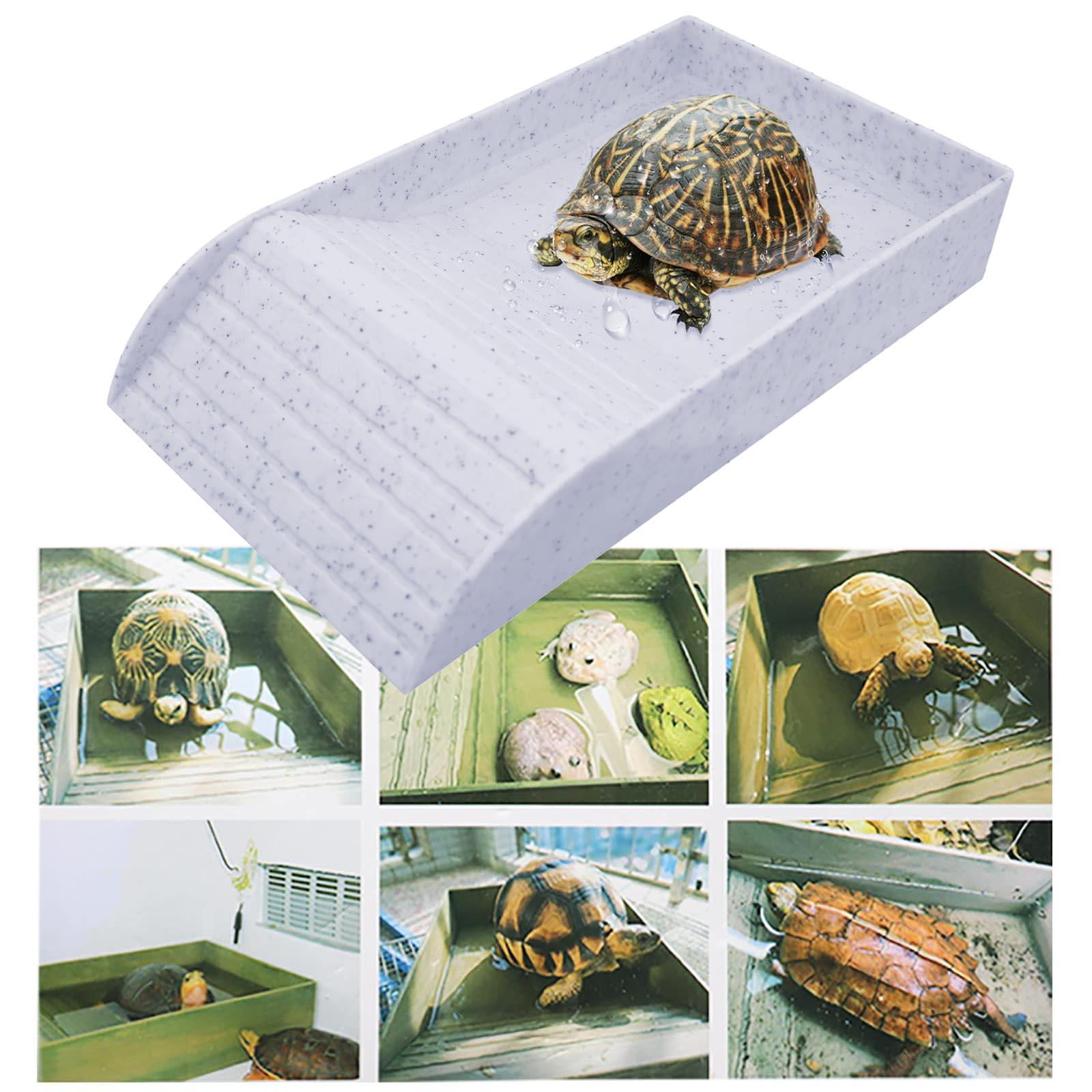 TOOYFUL Reptile Bowl, Reptile Water Bowl, Decorations, Reptile Bathing ...