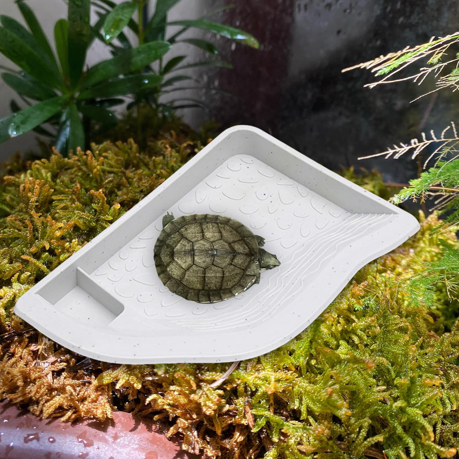 TOOYFUL Reptile Water Bowl Turtle Bathing Pool Tank Decoration with ...