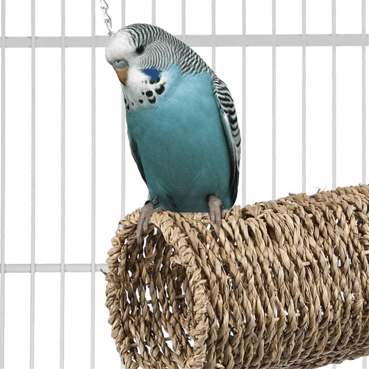 TOP! Grass Hammock Play Tunnel Hanging Bed House for Pet Rat Hamster ...