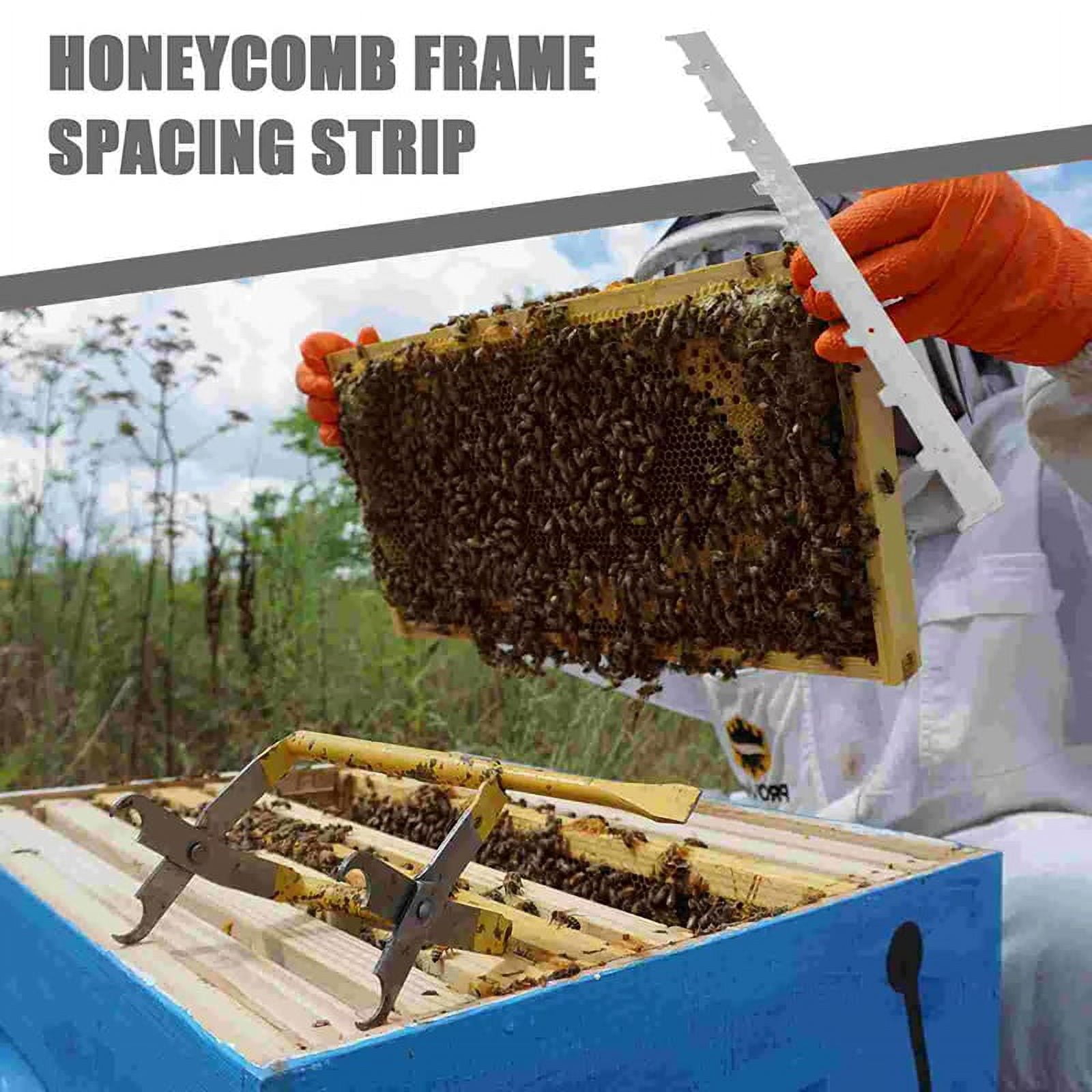 TOP! Nest Frame Card Strip Beehive Honeycomb Sliding Guards Spacers Bee ...
