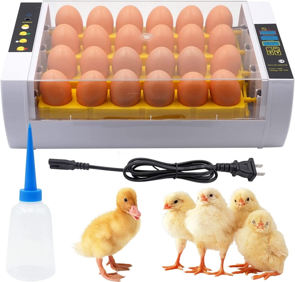 TOPCHANCES 24 Egg Incubator with Automatic Egg Turning and LED Display ...