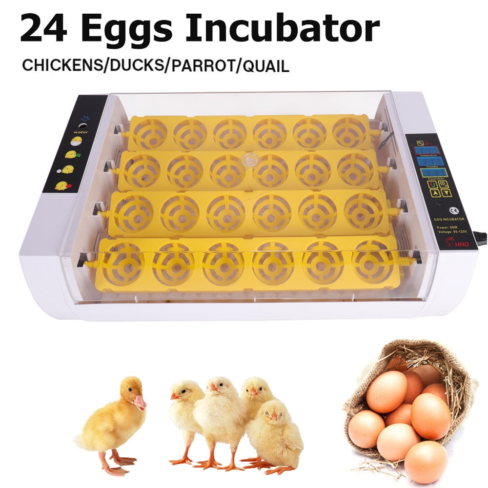 TOPCHANCES 24 Eggs Digital Egg Incubator Hatcher Temperature Control ...