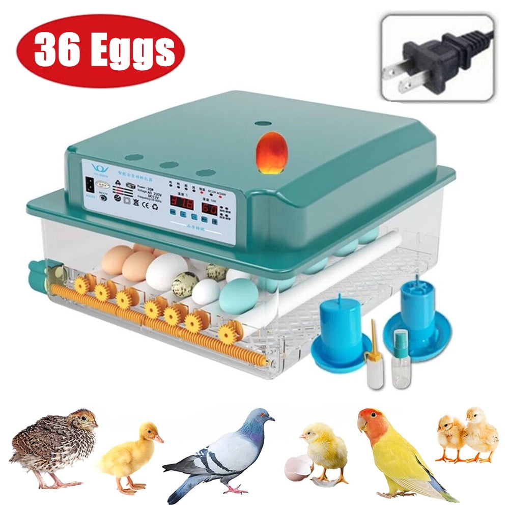 TOPCHANCES 36 Eggs Incubators for Hatching Eggs Digital Automatic Egg ...