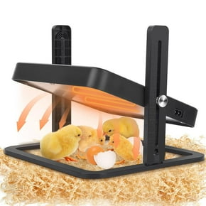 Chick Heat Lamps in Chicken Supplies - Walmart.com
