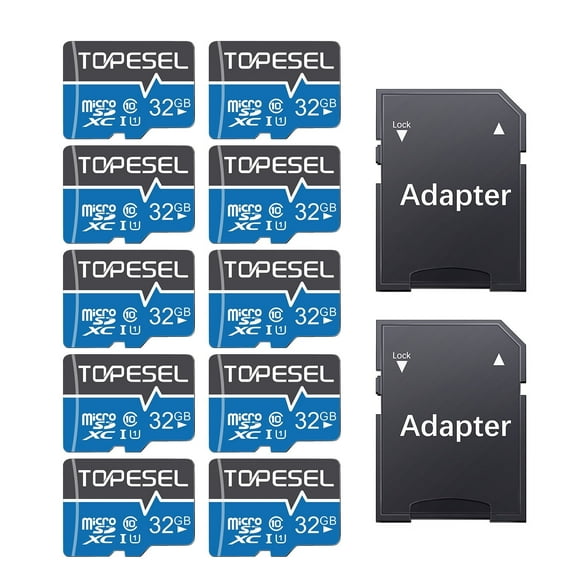32GB Micro Class 10 SD Cards