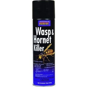 Wasp Spray 30 Feet