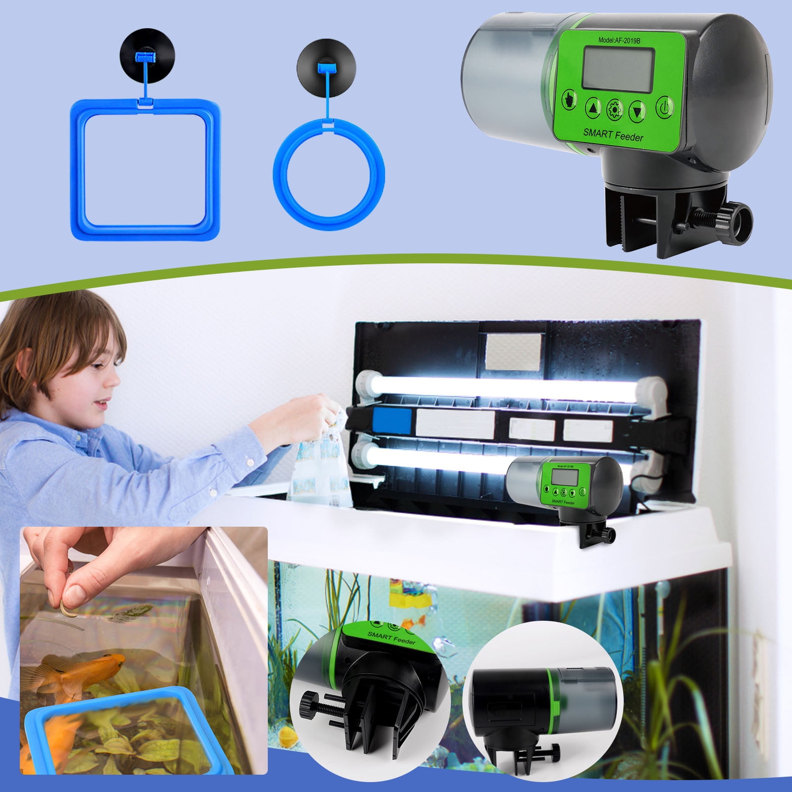 TOPRenddon Automatic Fish Feeder for Aquarium, Battery Power Food ...