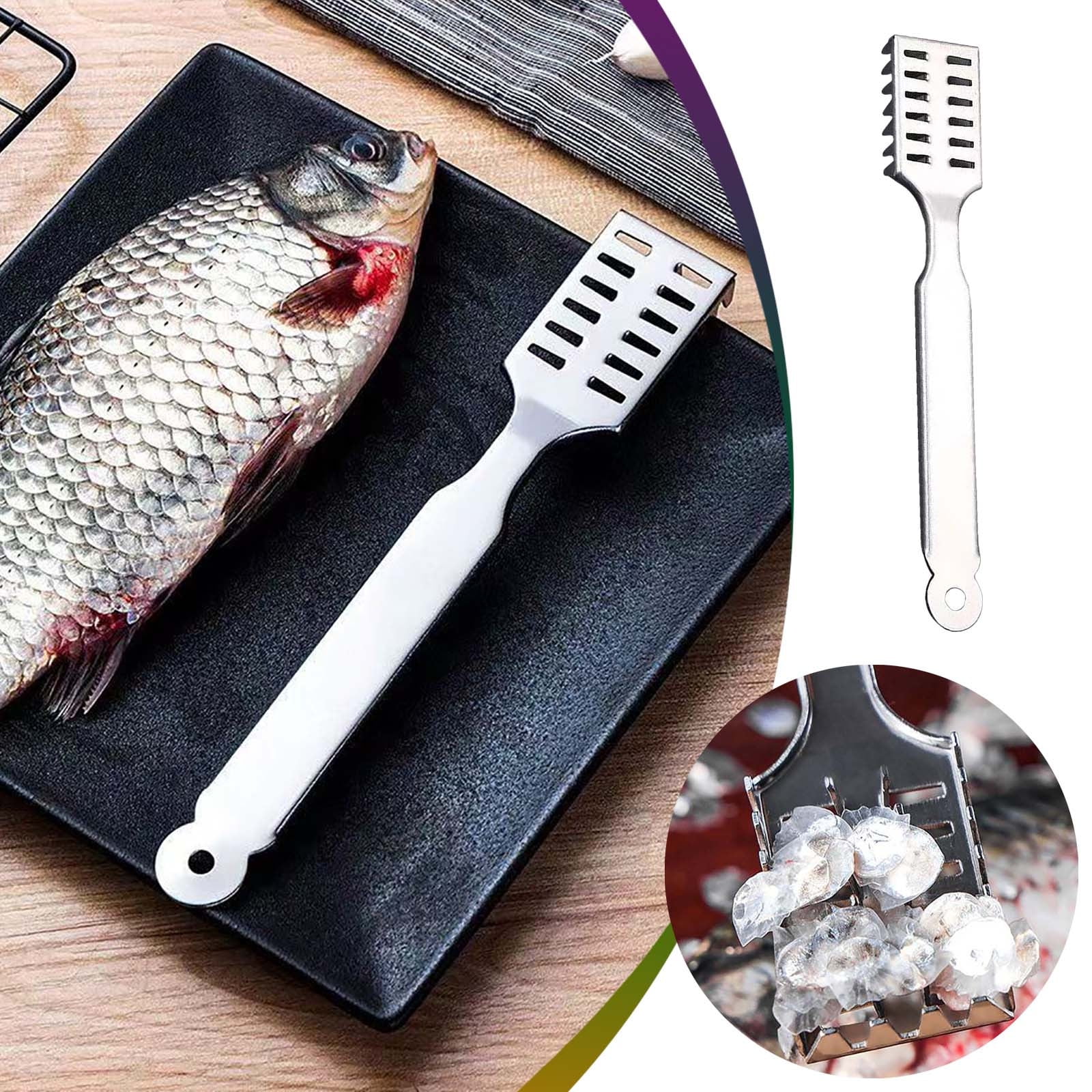 TOPRenddon Fish Scale Scraping, Stainless Steel Handle Fish Scraping ...