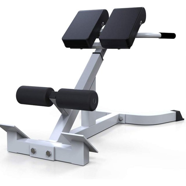 Free Shipping! TOPTENG Roman Chair Back Extension Machine - Lower Back ...