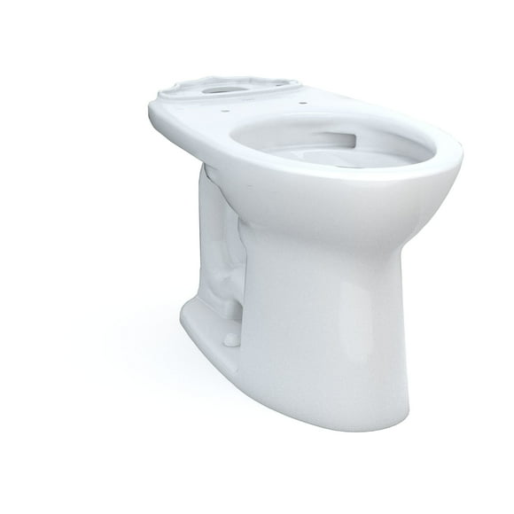 10 Inch Rough Toilet