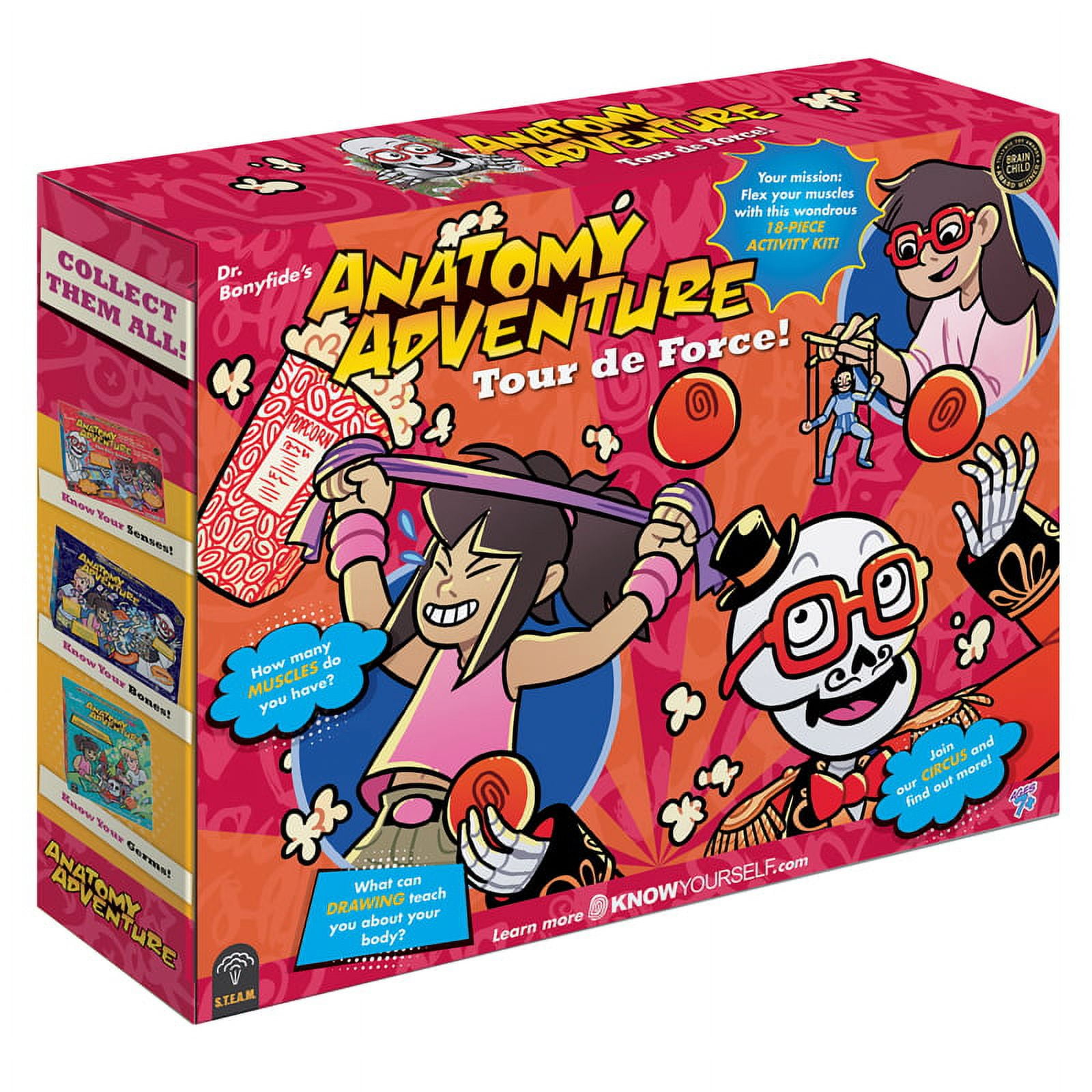 TOUR DE FORCE THE MUSCULAR SYSTEM - Walmart.com