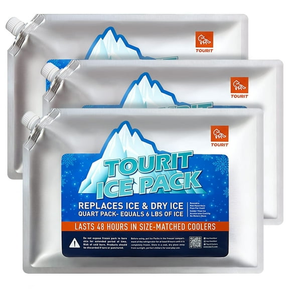 Cooler Ice Packs in Coolers - Walmart.com