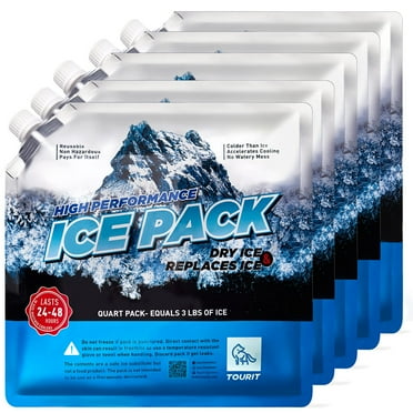 Lifoam Industries -2C Freez Extra Cold Bag, Pack of 6 - Walmart.com