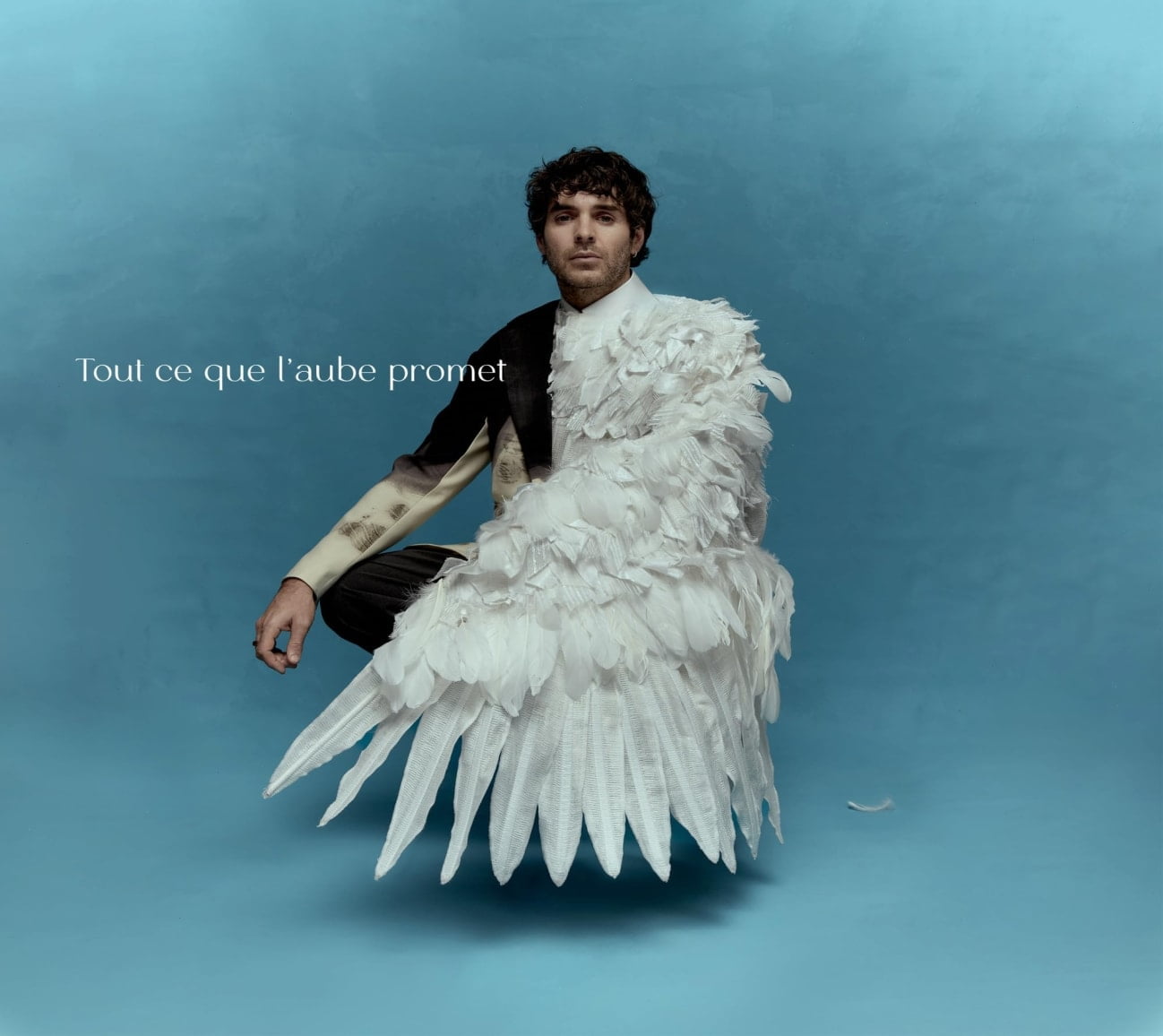 Alex Nevsky Tout Ce Que Laube Promet (CD) - Walmart.com