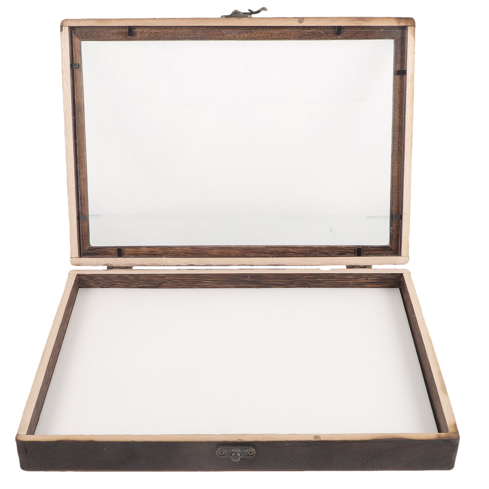 TOXMENT 1 Set of Insect Display Case Wooden Bug Collection Box Clear ...