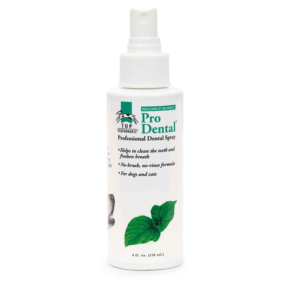 TP ProDental Dental Spray 4oz - Walmart.com