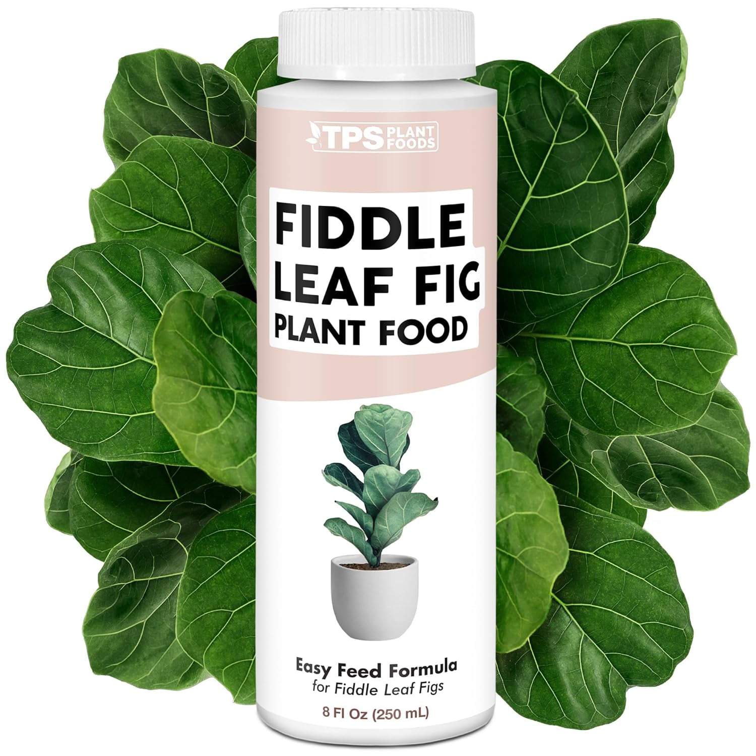 TPS NUTRIENTS Fiddle Leaf Fig Plant Food for All Fig and Other Ficus ...