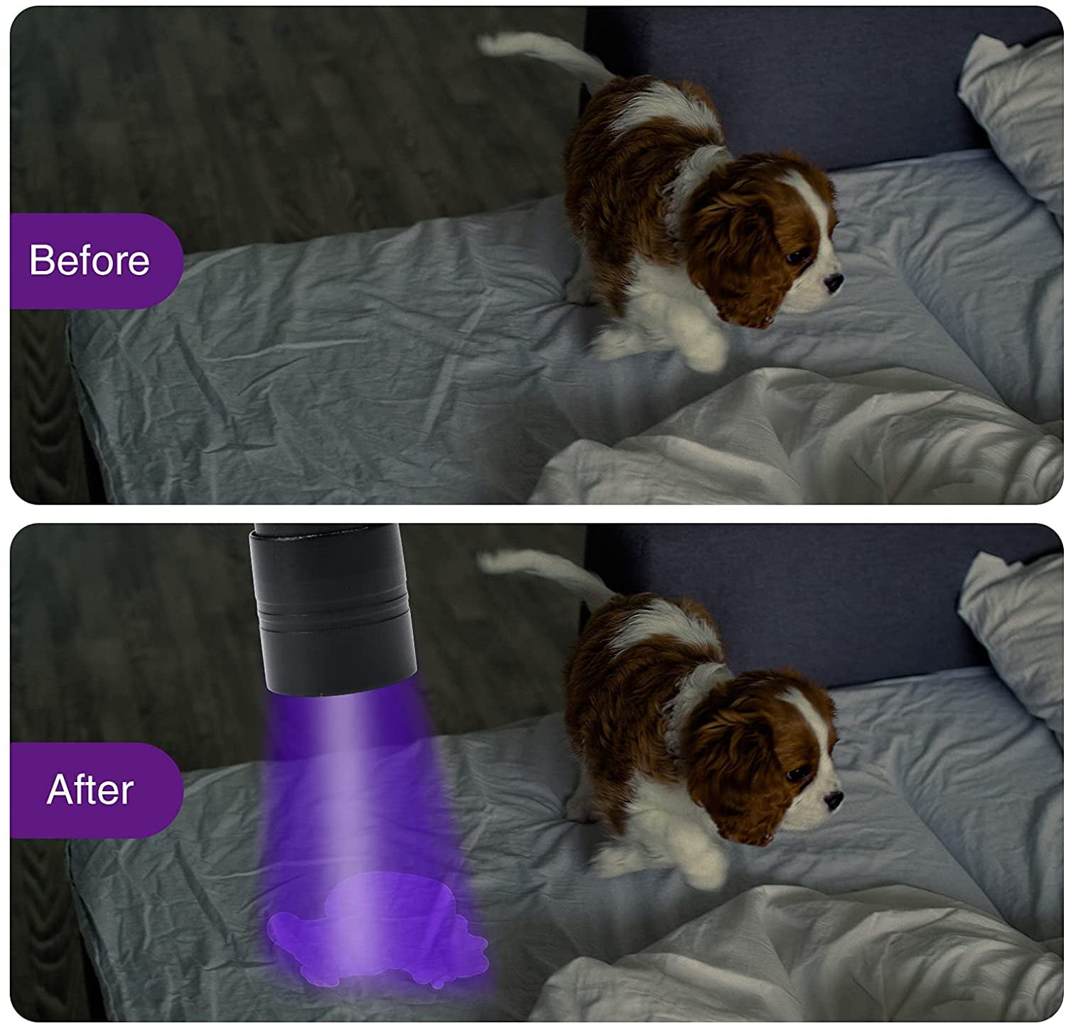 TRA-2 Pack UV Flashlights, 12 LED Mini Black Light Flashlight 395nm ...