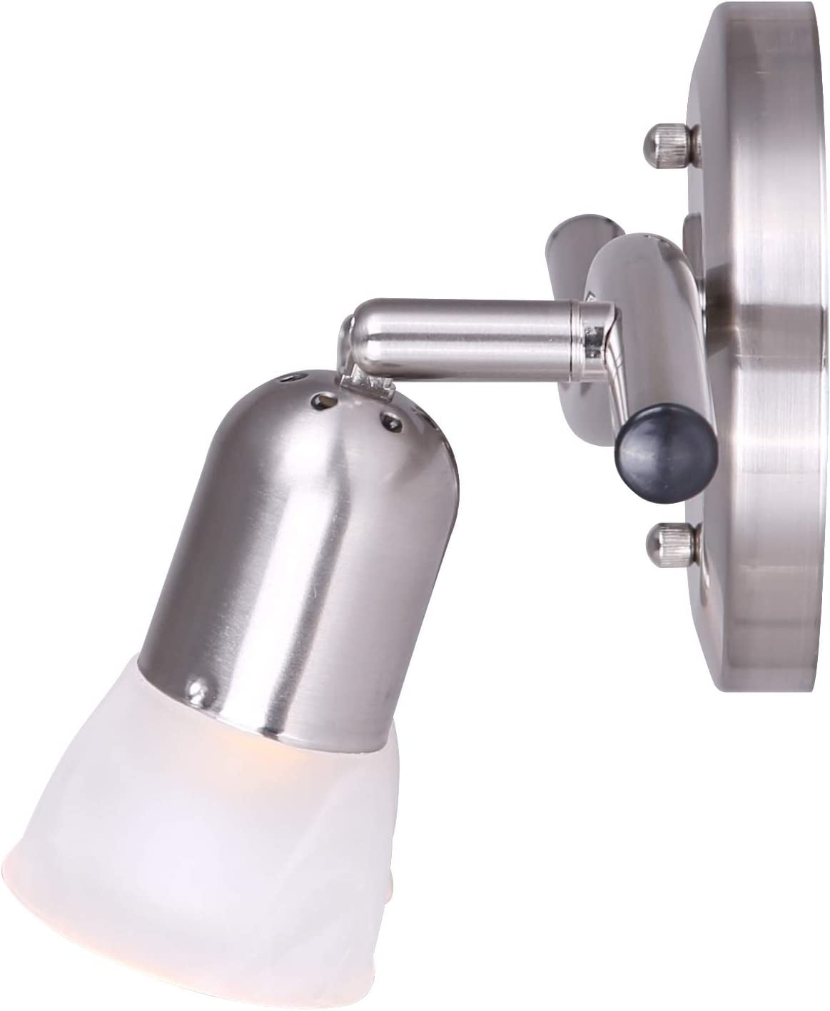 TRA-James 2-Light Track Lighting, Brushed Pewter, Adjustable Alabaster ...