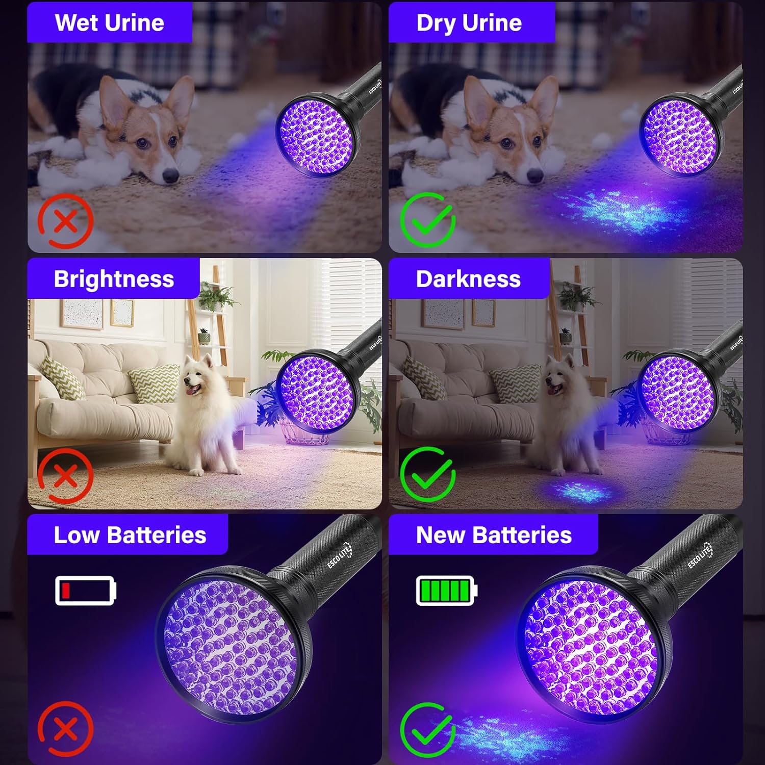 TRA-UV Flashlight Black Light, 100 LED 395 nM Ultraviolet Flashlights ...