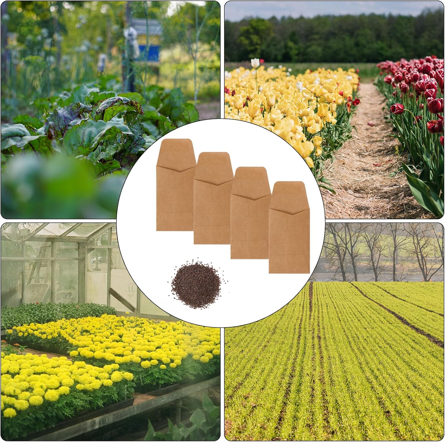 TRAHOO-100 Pack Small Coin Envelopes Heavy Duty Self-Adhesive Kraft ...